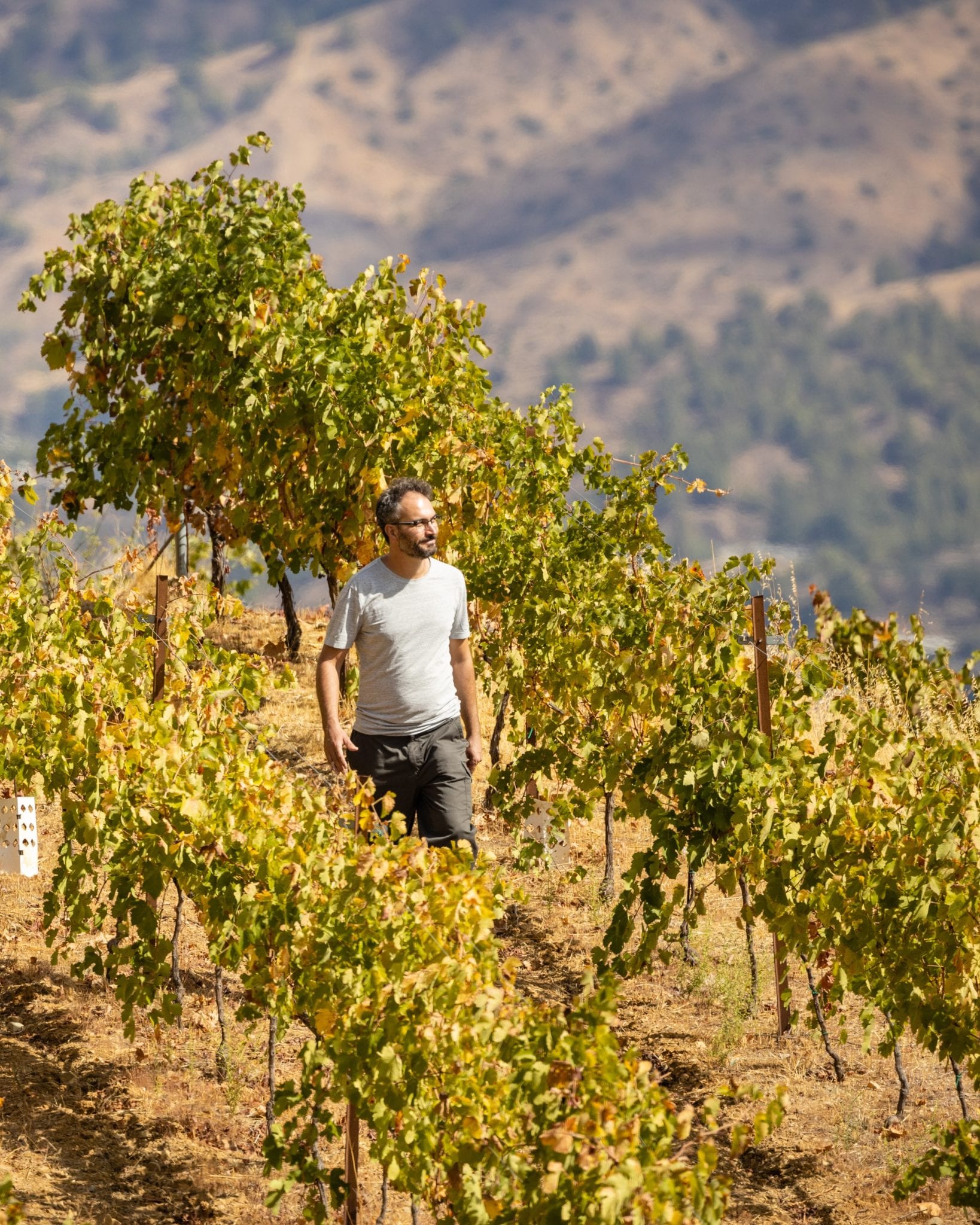 Marathasa Wines - Fine Cypriot Wines and Winery